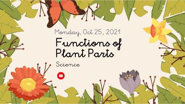 functions plant parts | Genially