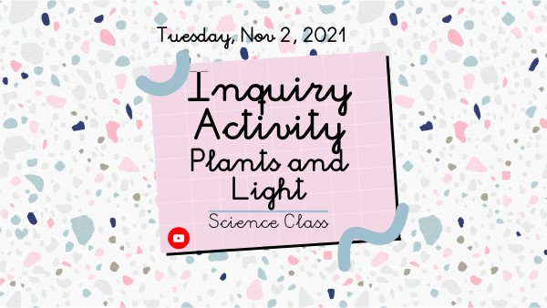 Inquiry Activity Plants and light | Genially