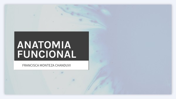PRESENTACIÓN ANATOMIA FUNCIONAL