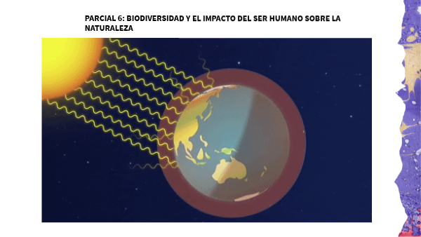 PARCIAL 6 9NO | Genially