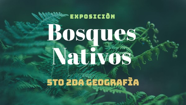 Consignas para la exposición 5to BOSQUES NATIVOS | Genially