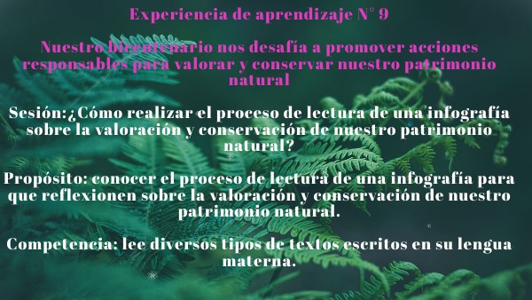 Sesión 25.patrimonio natural