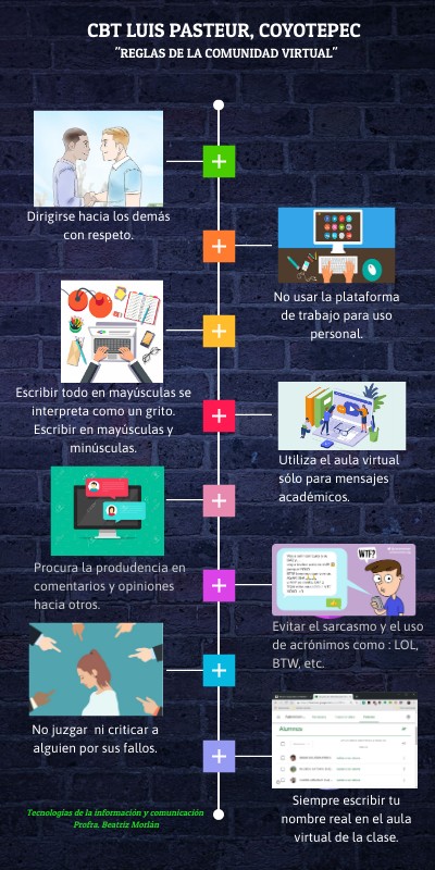 CBT Normas Comunidad Virtual