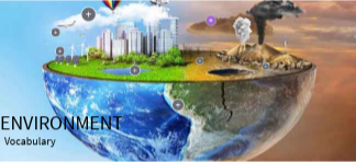 Environment vocabulary | Genially