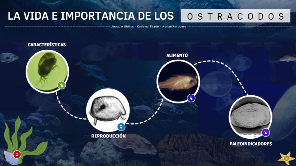 INFOGRAFÍA OSTRACODA | Genially