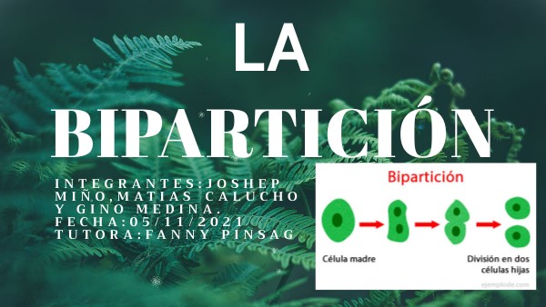 LA BIPARTICIÓN | Genially