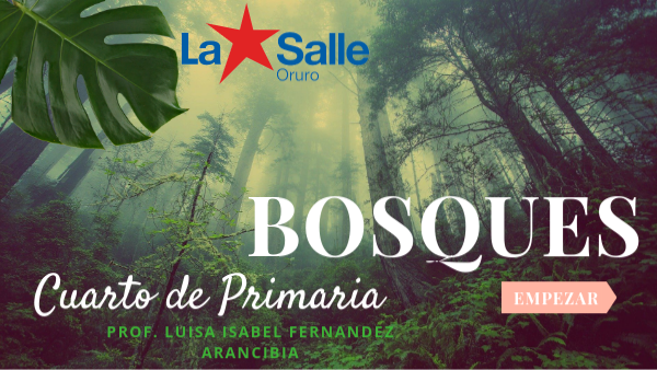 BOSQUES | Genially