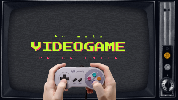 Classification of Animals | Genially