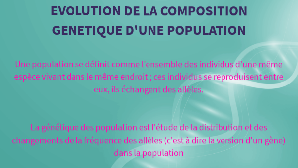 Composition génétique des populations au cours du temps | Genially