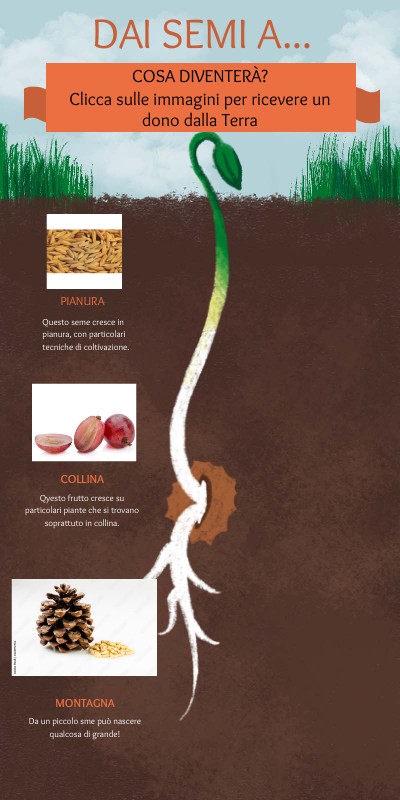 Seed List | Genially