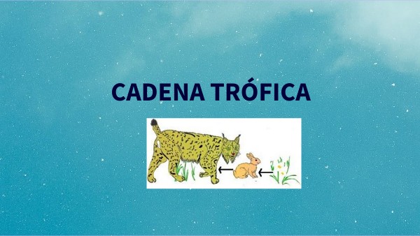 CADENA TROFICA | Genially