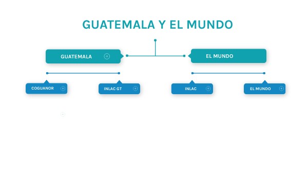 IDC 1.5 Guatemala y el mundo | Genially