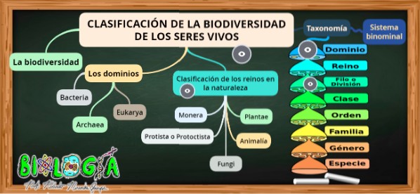 CLASIFICACIÓN DE LA BIODIVERSIDAD
