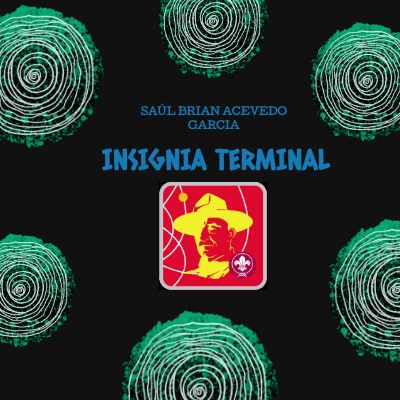 Insignia Terminal | Genially