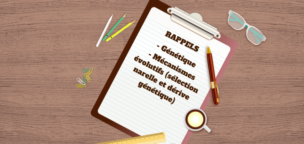 Rappels génétique et évolution | Genially