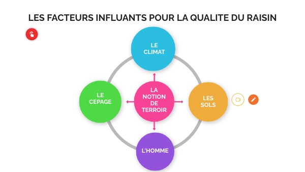 LA NOTION DE TERROIR | Genially