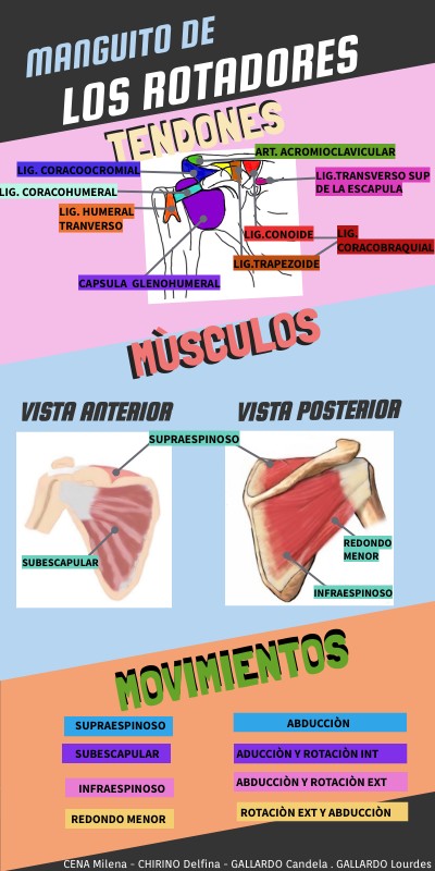 MANGUITO DE LOS ROTADORES | Genially