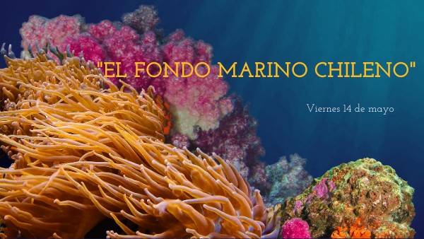 fondo marino | Genially