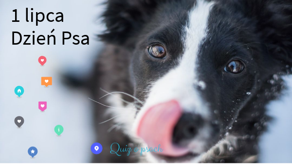 1 lipca - Dzień psa | Genially