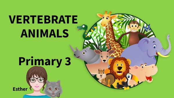 VERTEBRATE ANIMALS PRESENTATION