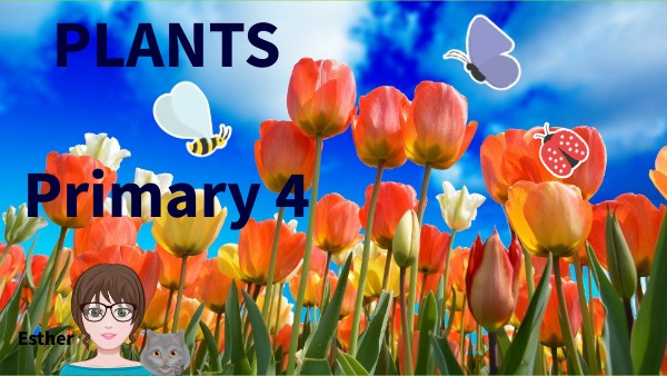 PLANTS PRIMARY 4 | Genially