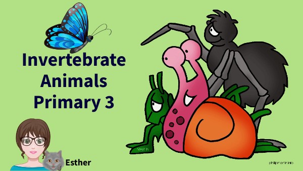 INVERTEBRATE ANIMALS | Genially