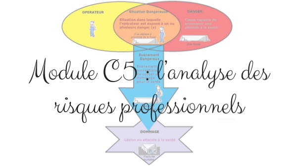module C5 : analyse des risques | Genially