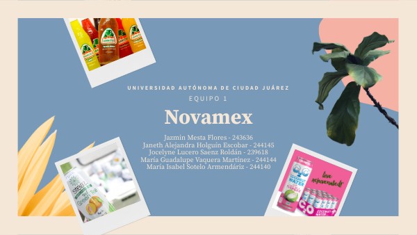 PRESENTACIÓN NOVAMEX EQUIPO 1 | Genially