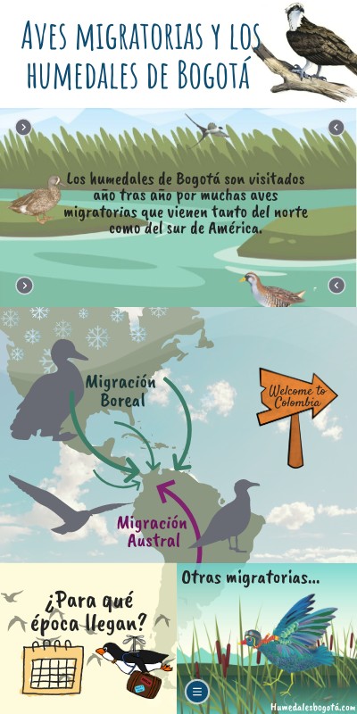 Infografía aves migratorias | Genially
