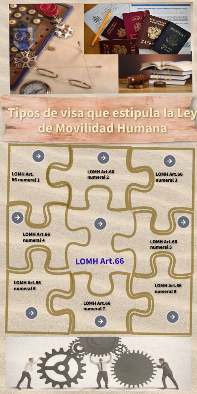 INFOGRAMA TIPOS DE VISA LOMH