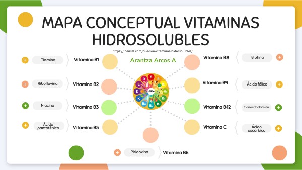 Mapa de las vitaminas hidrosolubles | Genially