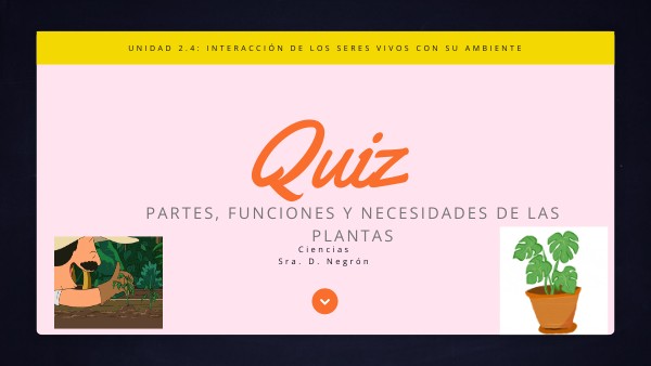 QUIZ: Partes, funciones y necesidades de las plantas