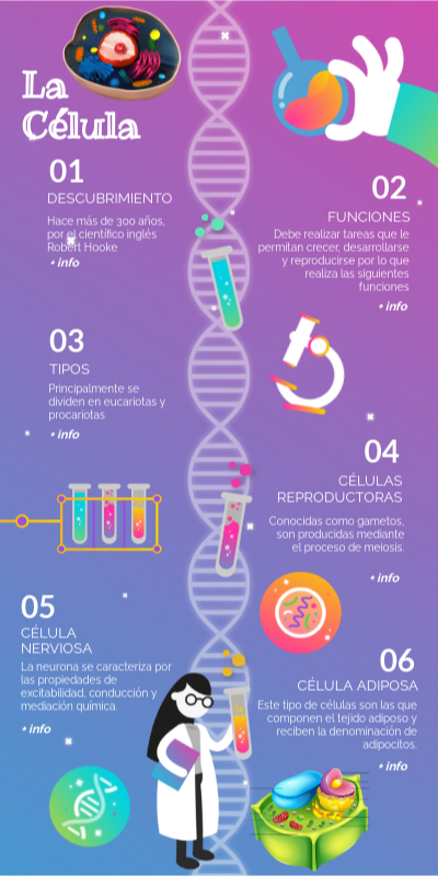 INFOGRAFIA DE LA CELULA | Genially