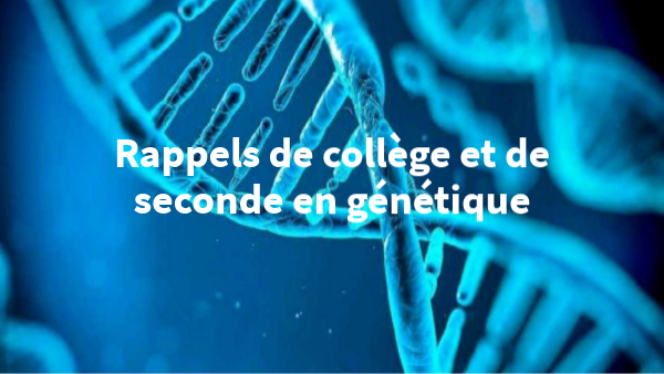 Rappels de génétique | Genially