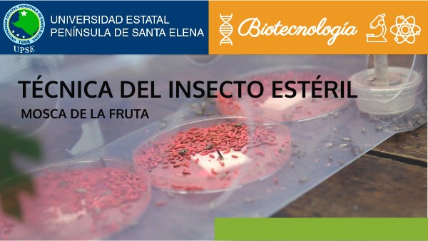 Técnica del insecto estéril | Genially