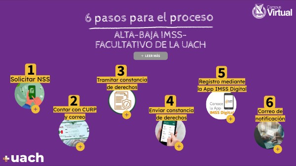ALTA-BAJA IMSS-FACULTATIVO DE LA UACH | Genially