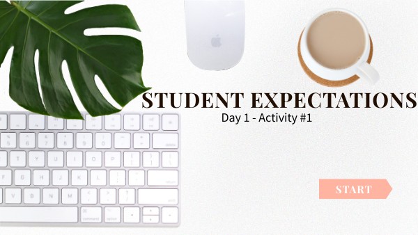 Day 1 Activity 1 Student Expectations