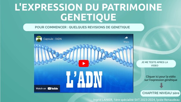 Expression du patrimoine génétique