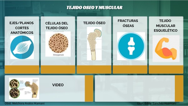 TEJIDO MUSCULAR Y OSEO