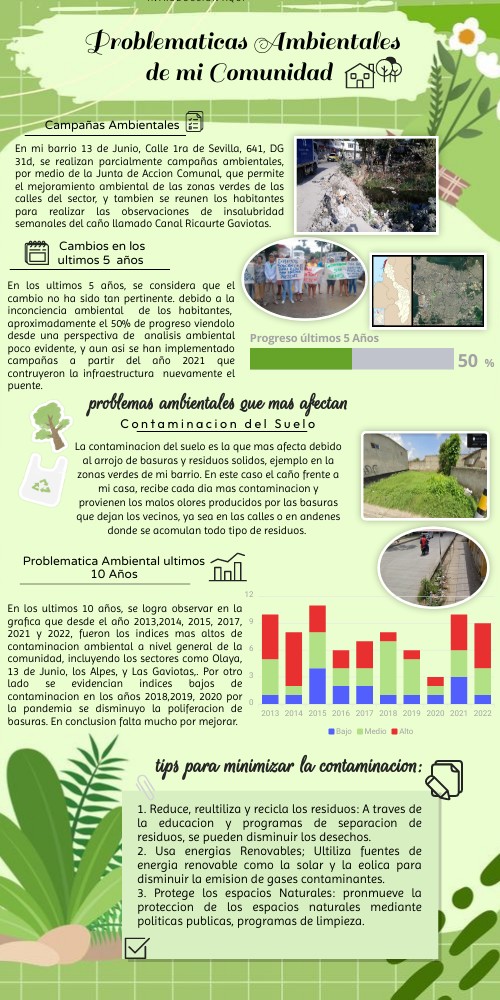 Infografia- Problematicas Ambientales de mi comunidad | Genially