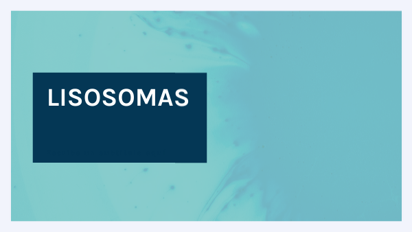 Lisosomas
