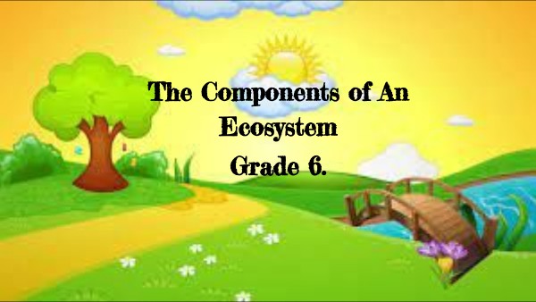 SCIENCE G6 W4 p.2 Bim.1 -2024 | Genially