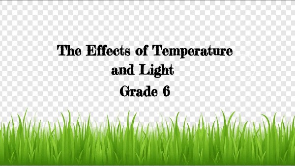 SCIENCE G6 W2 Bim. 1