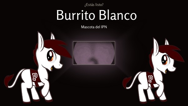 Burrito blanco del IPN