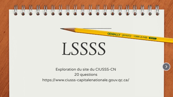 la LSSSS: soins et services