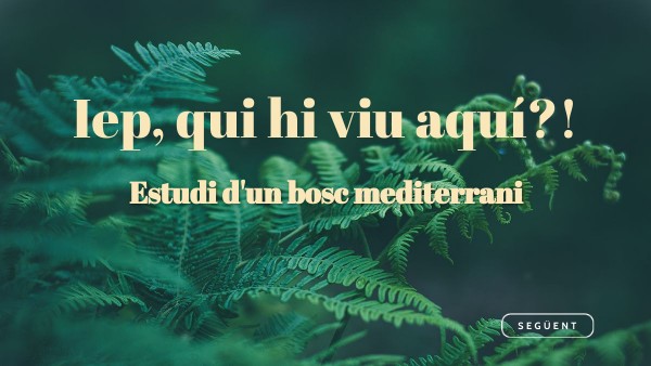 23-24Qui viu aquí? Estudi d'un bosc mediterrani | Genially