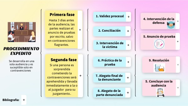 PROCEDIMIENTO EXPEDITO | Genially