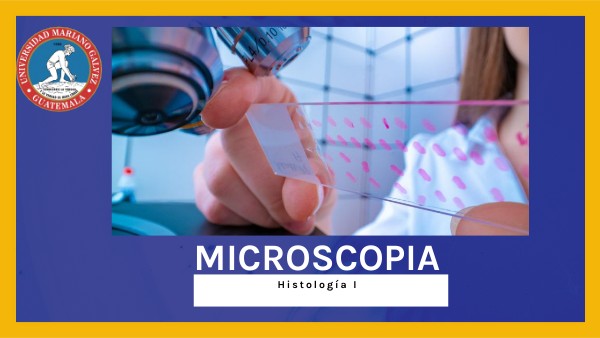 "Microscopia" | Genially