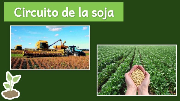 Procesos productivos de la SOJA | Genially