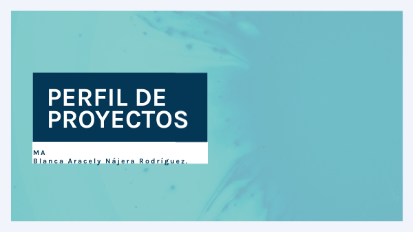 PERFIL DE PROYECTOS | Genially